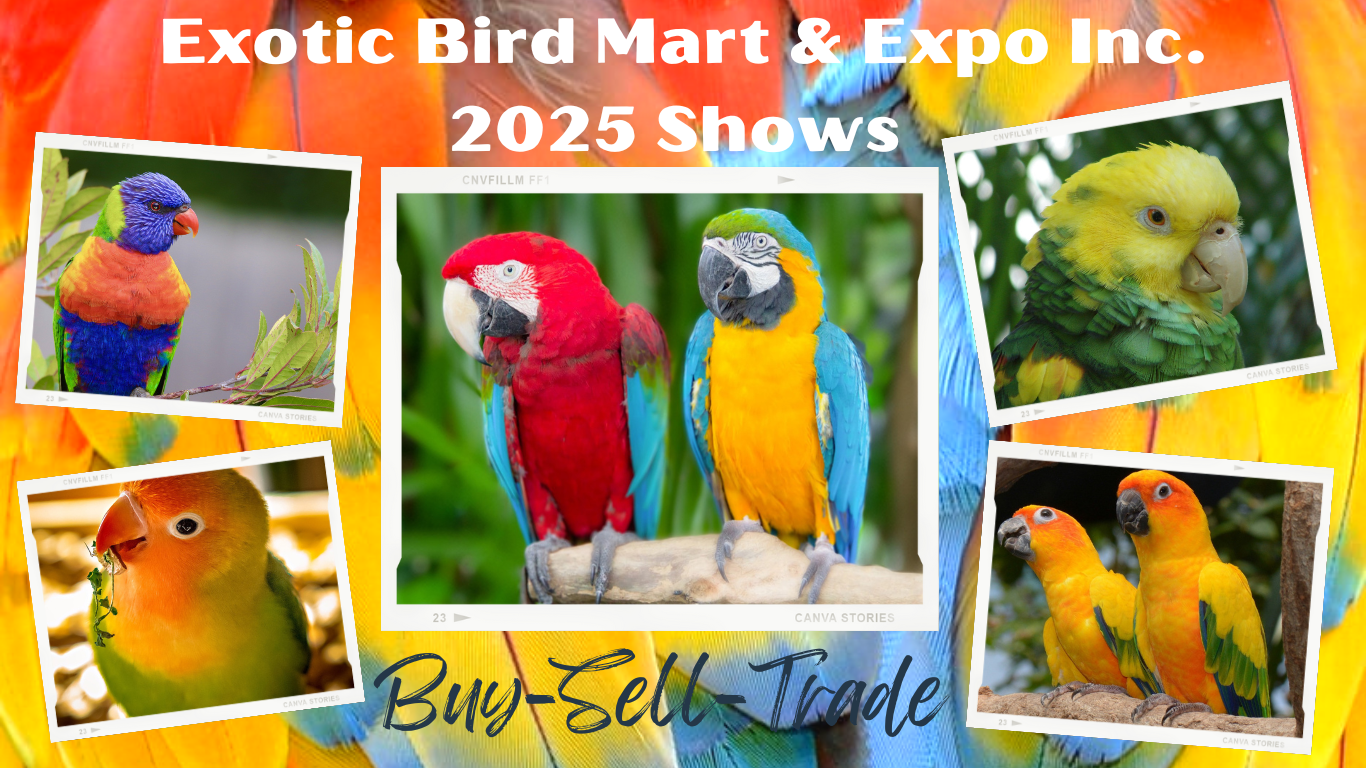 Exotic Bird Mart & Expo Inc. – The tradeshow for bird lovers!