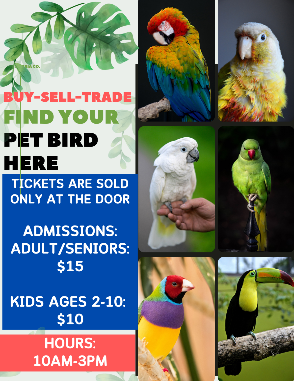 Exotic Bird Mart & Expo Inc. – The tradeshow for bird lovers!